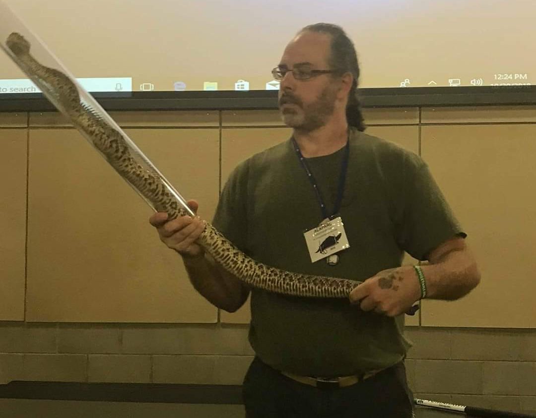 Snake Services - Finding professional help near you